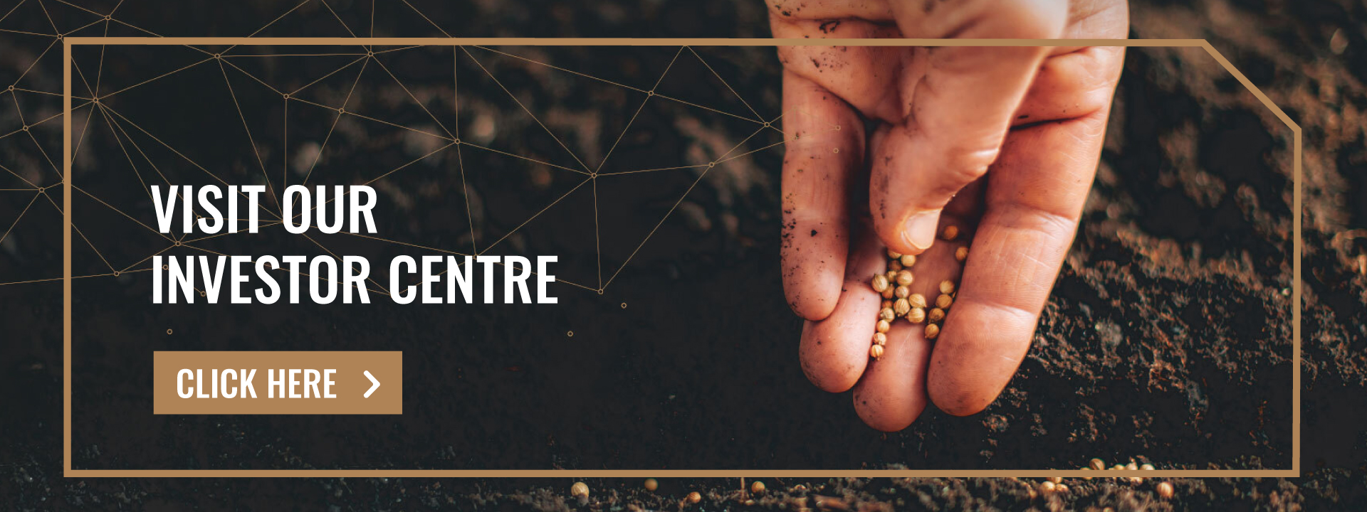 BKB - SA's leading authority on Agriculture | Livestock | Wool & Mohair